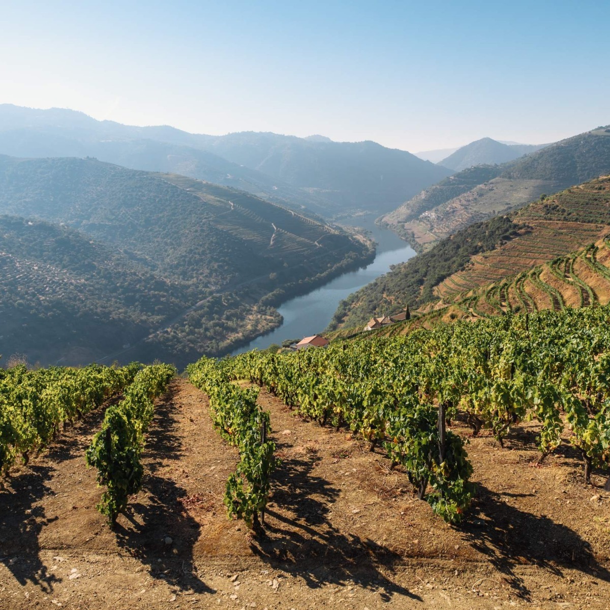 Douro Valley Eco-Friendly Tours | Cooltour Oporto & Partners